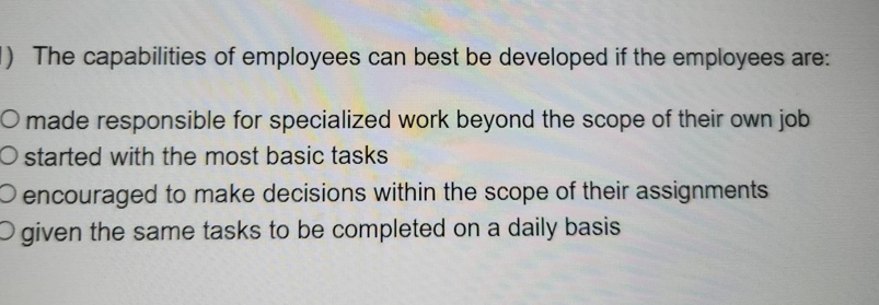 Solved The capabilities of employees can best be developed | Chegg.com
