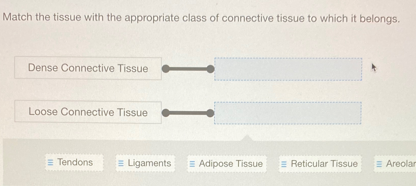 Solved Match the tissue with the appropriate class of | Chegg.com