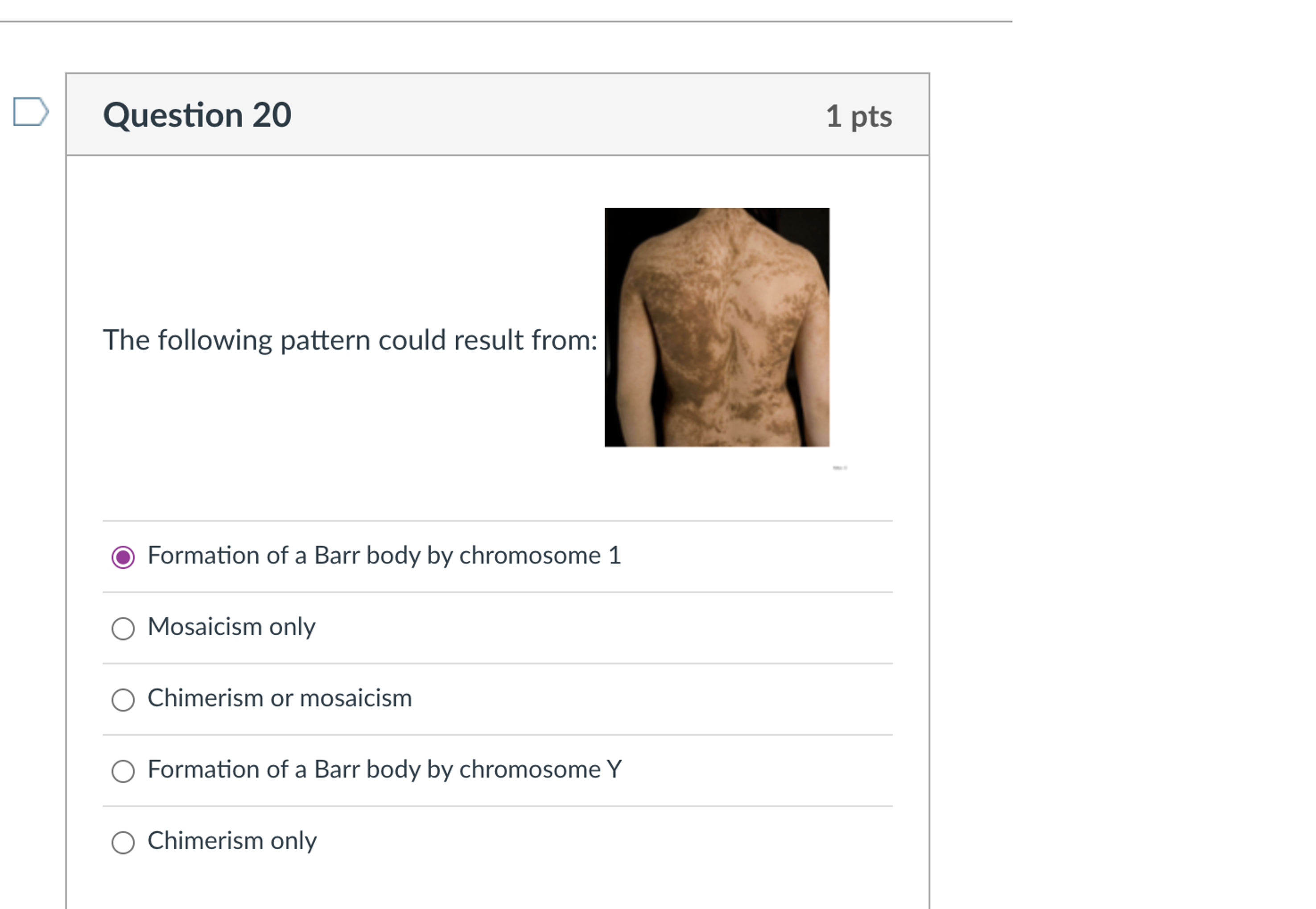 Solved Question 201 ﻿ptsThe following pattern could result | Chegg.com
