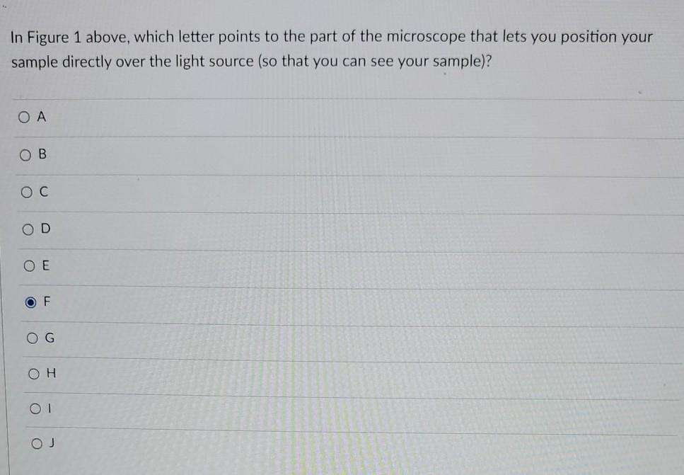 Solved In Figure 1 below, which letter points to the part of | Chegg.com