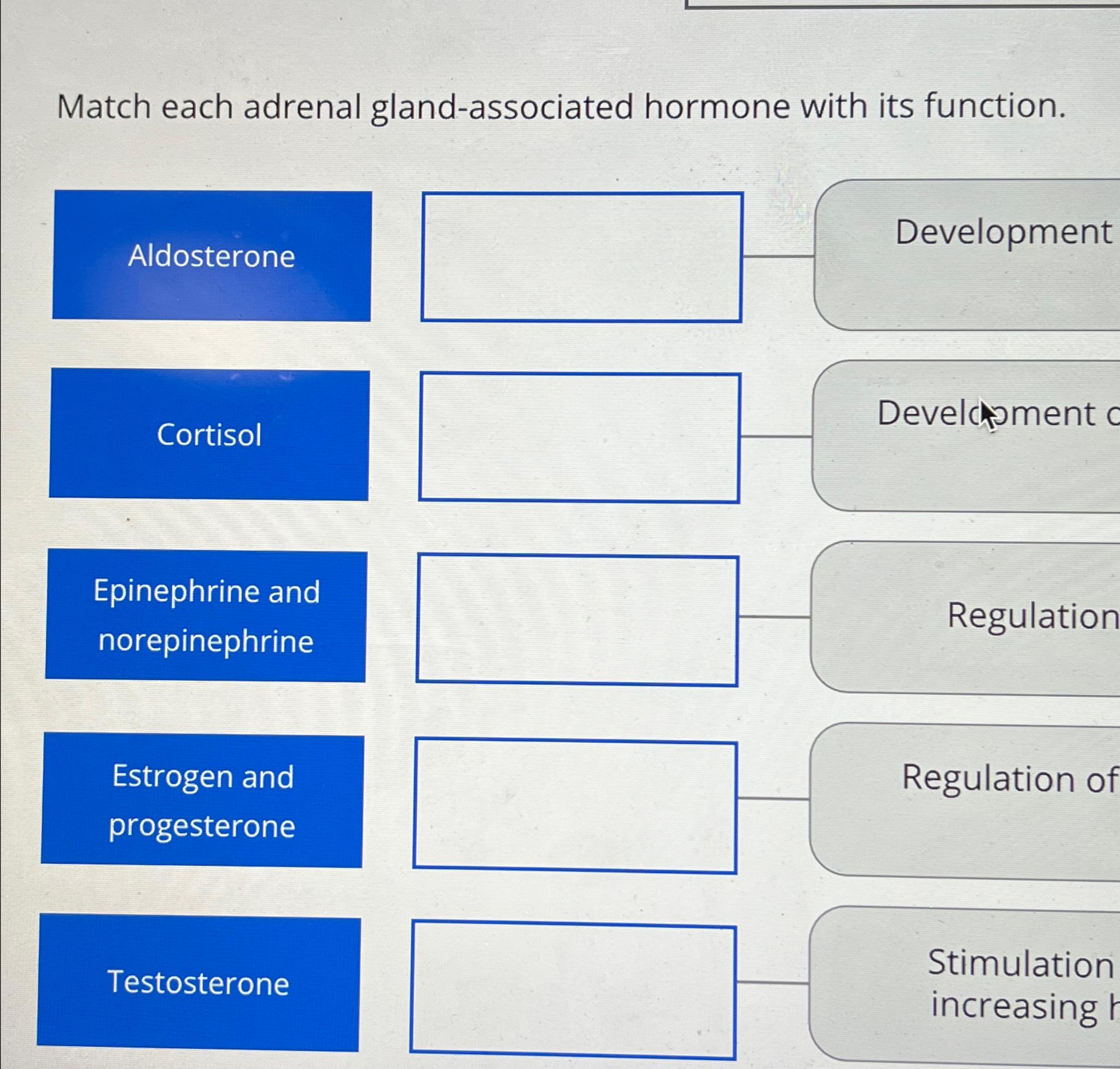 Solved Match each adrenal gland-associated hormone with its | Chegg.com
