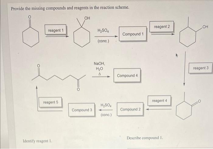 Solved Provide the missing compounds and reagents in the | Chegg.com