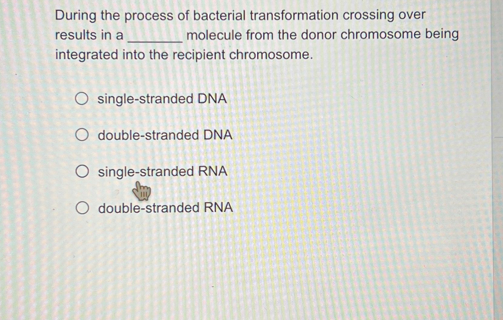 Solved During the process of bacterial transformation | Chegg.com
