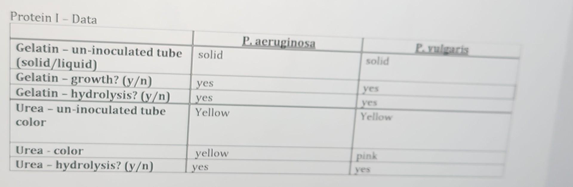 UREA AGAR P. vulgaris P. aeruginosa Uninoculated | Chegg.com