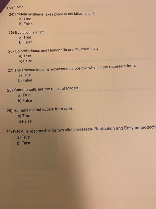 Solved True/False 24) Protein synthesis takes place in the | Chegg.com