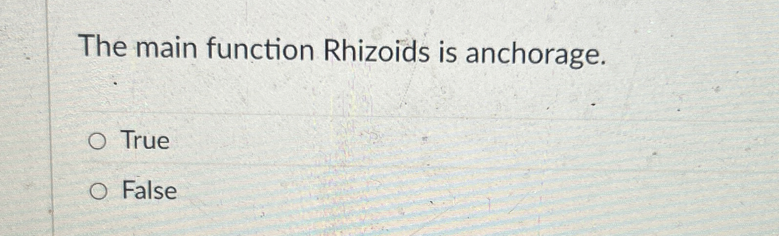Solved The Main Function Rhizoids Is Anchoragetruefalse 4471