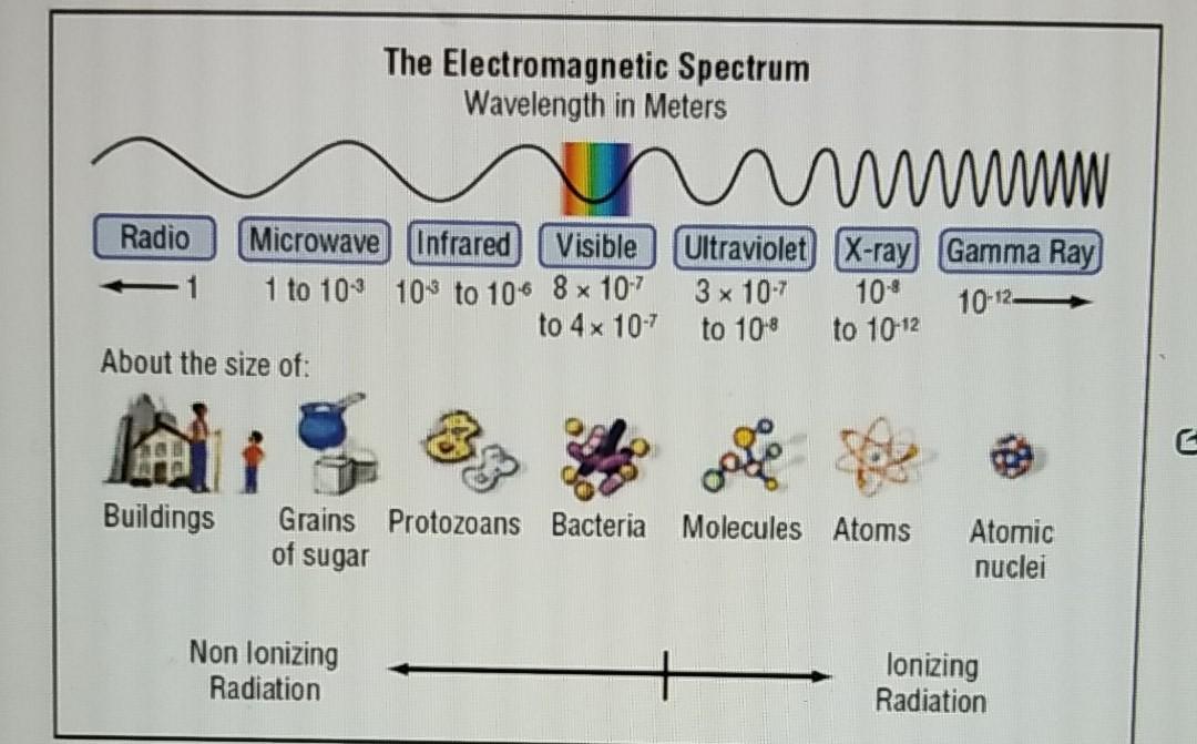 The Electromagnetic Spectrum Wavelength in Meters www | Chegg.com