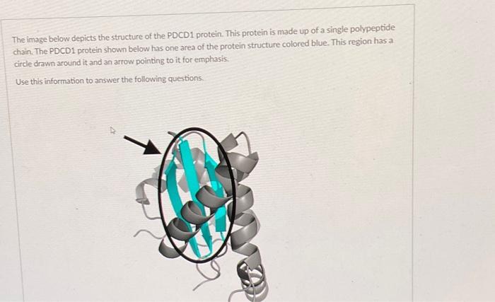 Solved T/F: If heat were added to PDCD1, the primary | Chegg.com