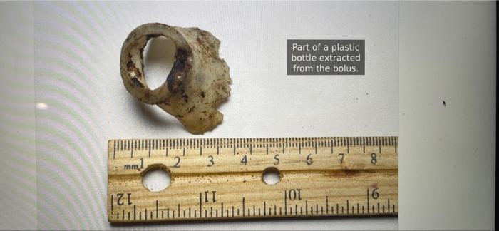 Solved View the photos to gather information regarding the | Chegg.com