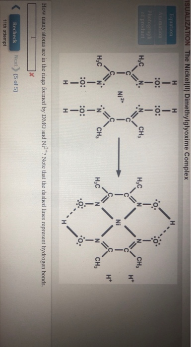 "ISUALIZATION The Nickel(II) Dimethylglyoxime Complex | Chegg.com