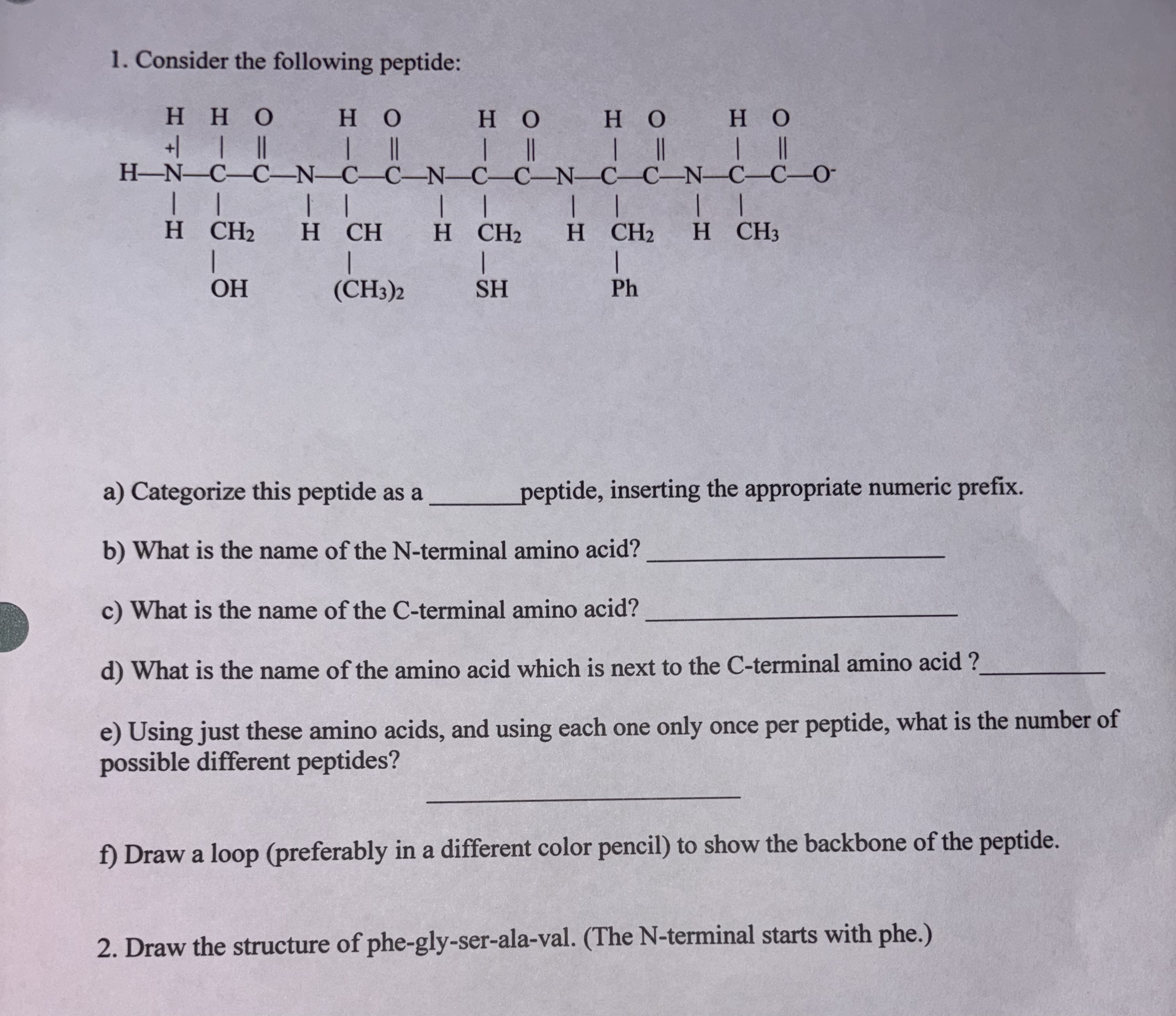 1. ﻿Consider the following peptide: a) ﻿Categorize | Chegg.com