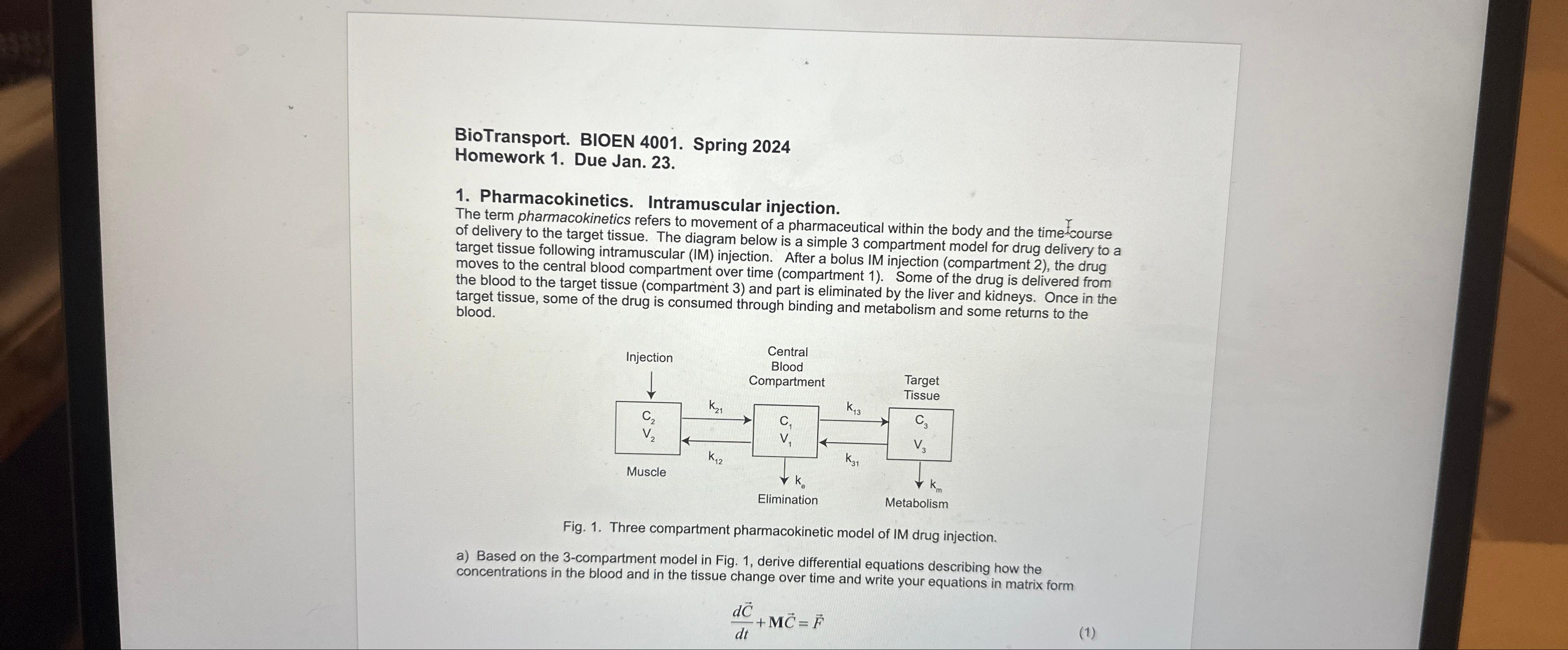 Solved 1. ﻿Pharmacokinetics. Intramuscular injection.The | Chegg.com