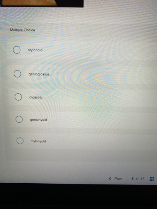 Solved Which structure is highlighted? Multiple Choice | Chegg.com