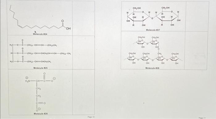 Solved BIOCHEMICAL MOLECULES - STRUCTURE AND FUNCTION ENTER | Chegg.com
