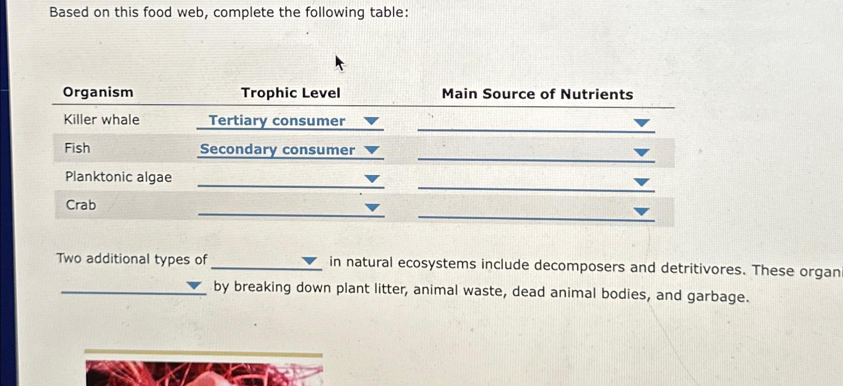 Solved Based on this food web, complete the following | Chegg.com