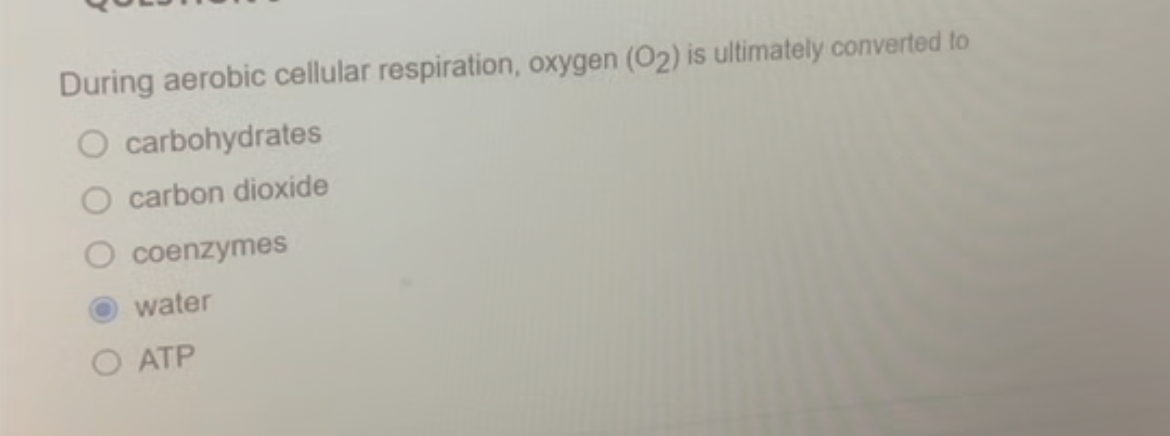 Solved During aerobic cellular respiration, oxygen (O2) ﻿is | Chegg.com