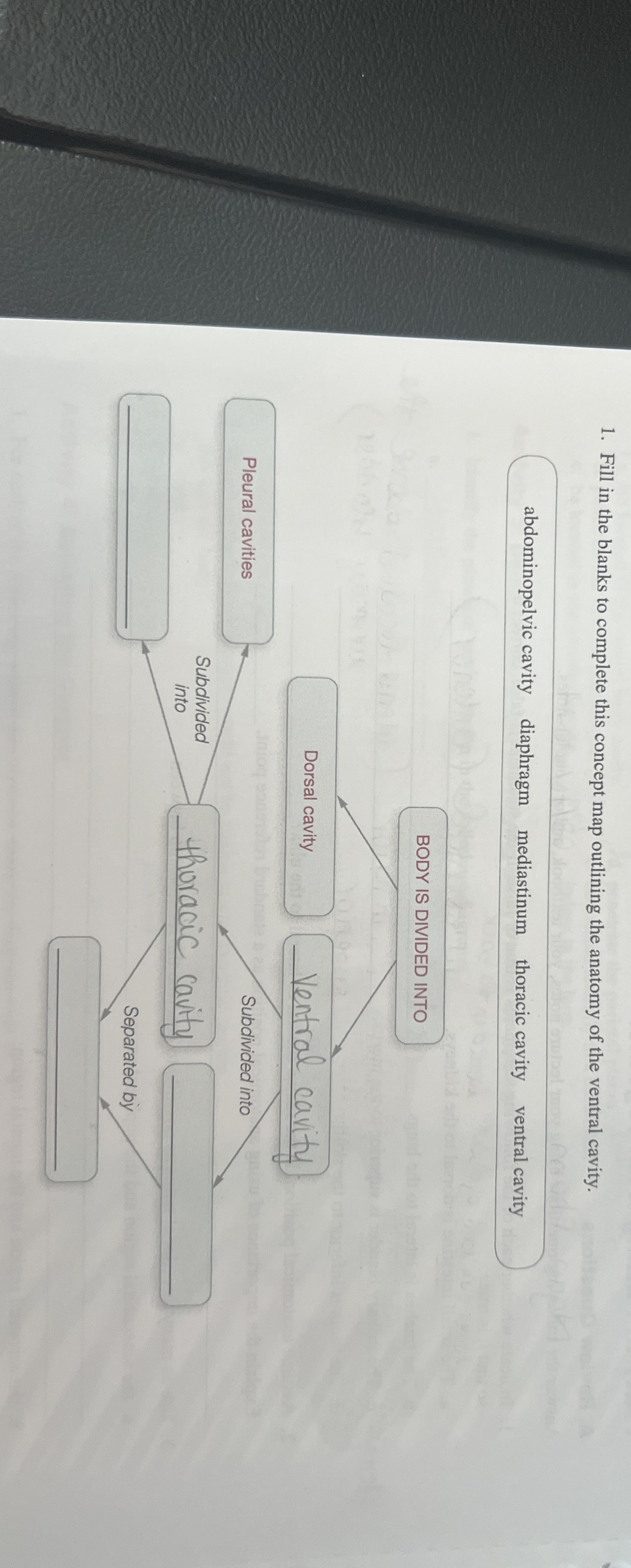 Solved Fill in the blanks to complete this concept map | Chegg.com