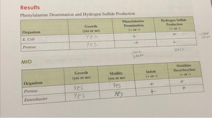 Solved Please write a summary 2 paragraphs about these | Chegg.com