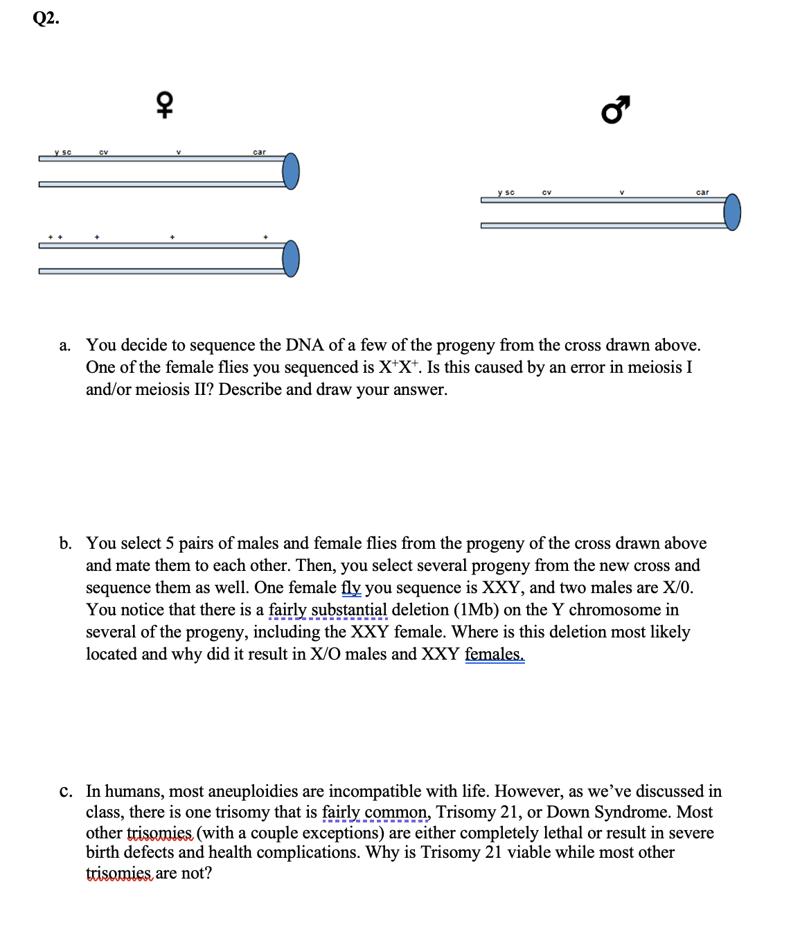 Solved Q2.a. ﻿You decide to sequence the DNA of a few of the | Chegg.com