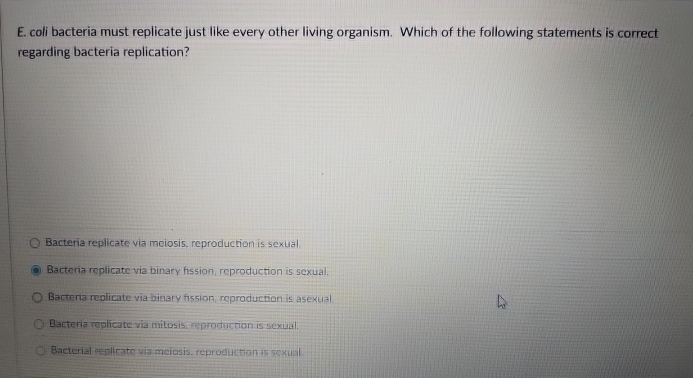 Solved E. ﻿coli bacteria must replicate just like every | Chegg.com