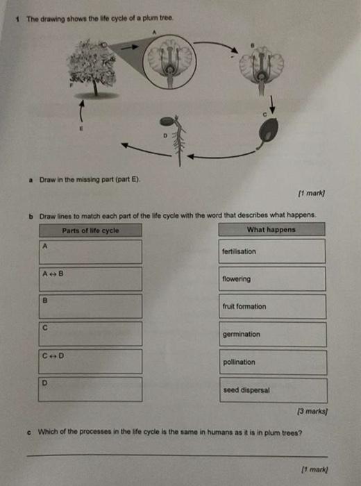 Solved can you please solve this question clearly | Chegg.com Solved can you please solve this question clearly | Chegg.com