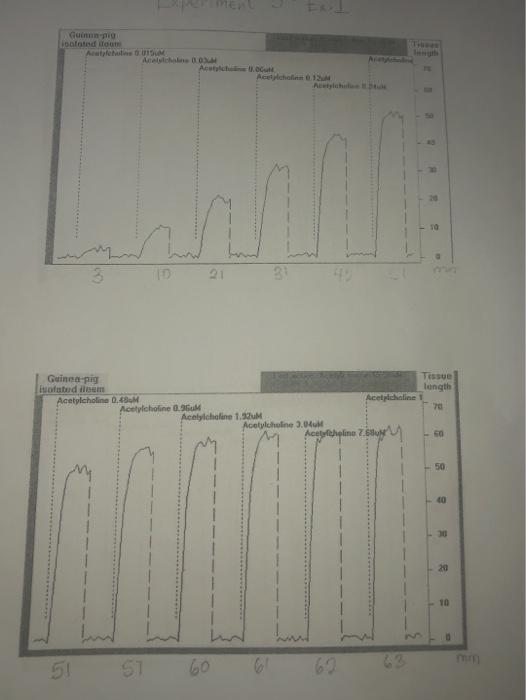 EXERCISE 1 Obtain full lost concentration ponsecures | Chegg.com