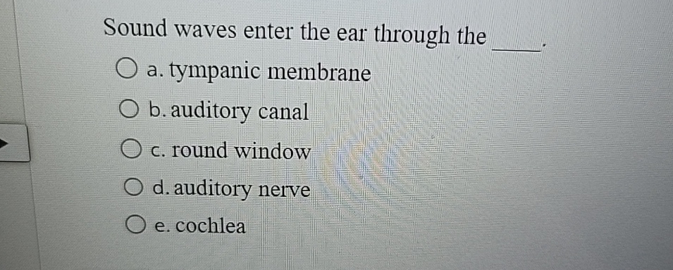 Solved Sound waves enter the ear through thea. ﻿tympanic | Chegg.com