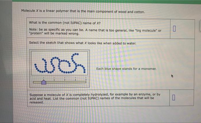 Solved Molecule X is a linear polymer that is the main | Chegg.com