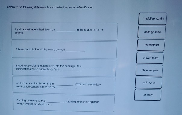 Solved Complete the following statements to summarize the | Chegg.com