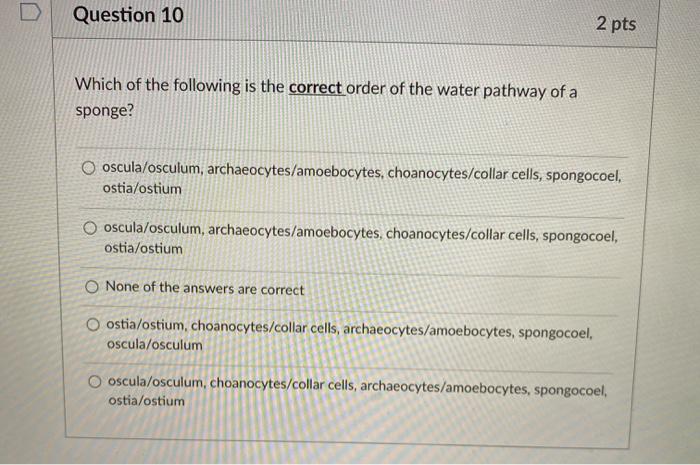 Solved Question 10 2 pts Which of the following is the | Chegg.com