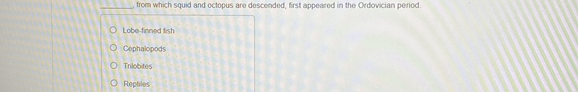 Solved from which squid and octopus are descended, first | Chegg.com