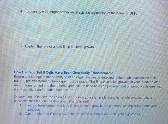 Solved 1. Explain how genetic transformation is related to | Chegg.com