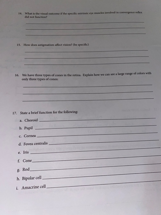Solved 14. What is the visual outcome if the specific | Chegg.com