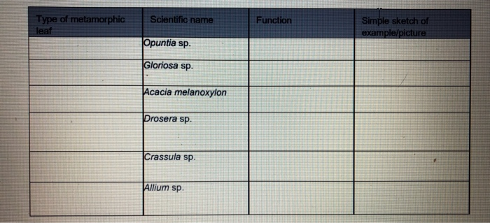 Solved Scientific name Function Type of metamorphic leaf | Chegg.com