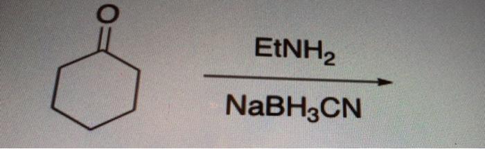 Solved EINH2 NaBH3CN | Chegg.com
