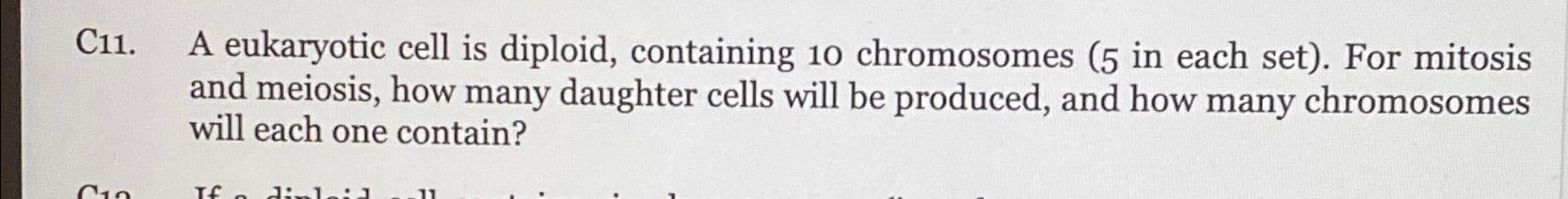 Solved C11. ﻿A eukaryotic cell is diploid, containing 10 | Chegg.com