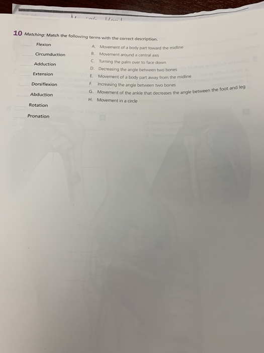 Solved 10 Matching: Match the following terms with the | Chegg.com