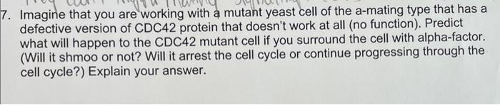 Solved Imagine that you are working with a mutant yeast cell | Chegg.com