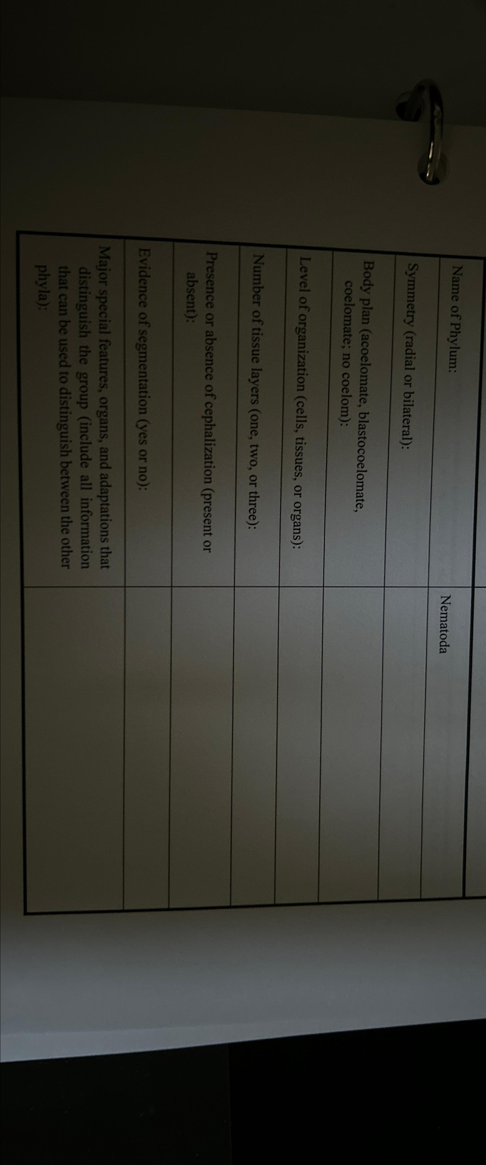 Solved \table[[Name of Phylum:,Nematoda],[Symmetry (radial | Chegg.com