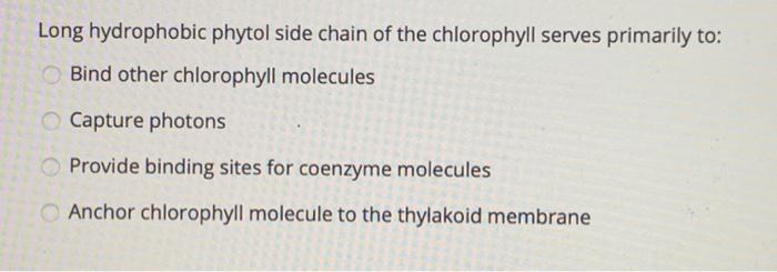 Solved Long hydrophobic phytol side chain of the chlorophyll | Chegg.com