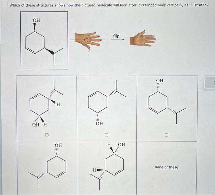 Solved Which of these structures shows how the pictured | Chegg.com