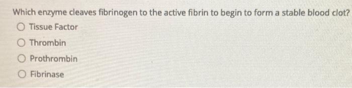 Solved Which enzyme cleaves fibrinogen to the active fibrin | Chegg.com