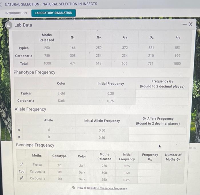 Solved NATURAL SELECTION. NATURAL SELECTION IN INSECTS | Chegg.com