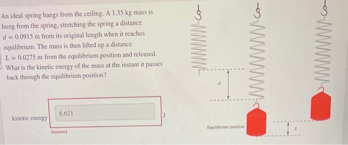 [Solved]: An ideal spring hangs from the ceiling. A ( 1.35