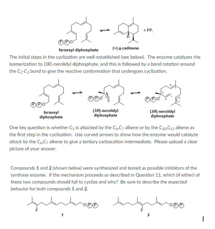 Solved The initial steps in the cyclization are | Chegg.com