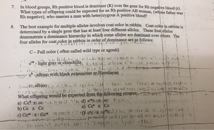 Solved Codominance and Multiple Alleles i 5. A young woman | Chegg.com