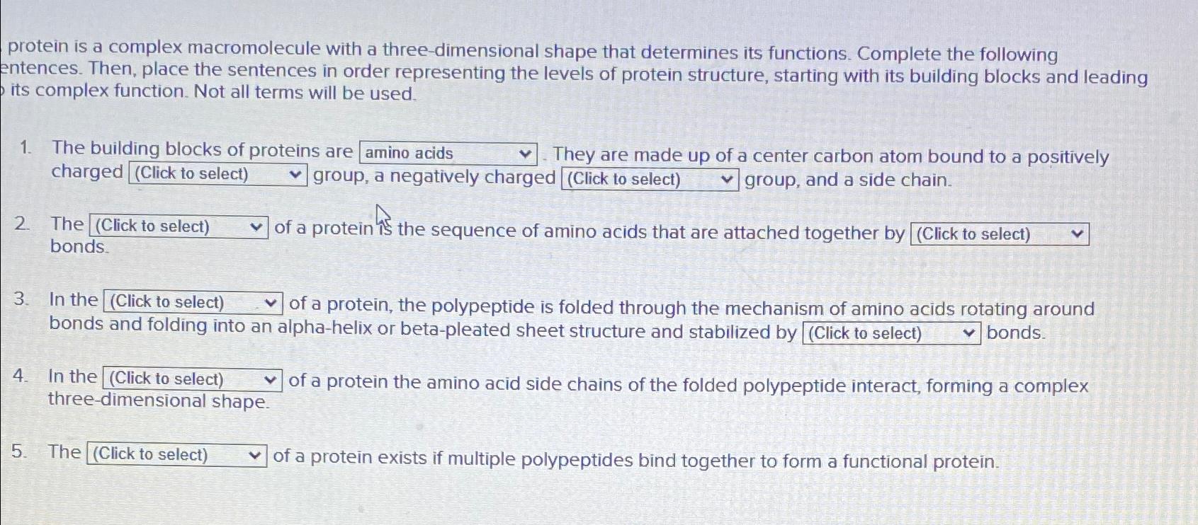 Solved protein is a complex macromolecule with a | Chegg.com
