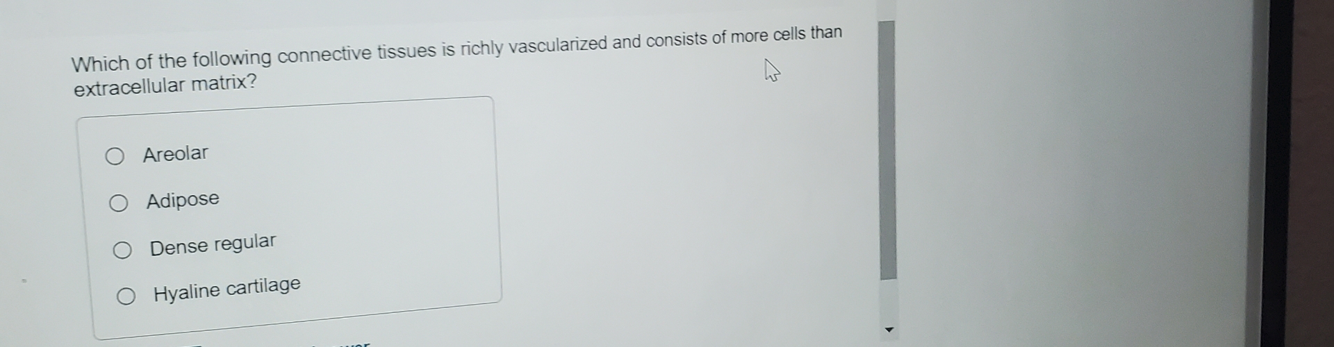 Solved Which of the following connective tissues is richly | Chegg.com