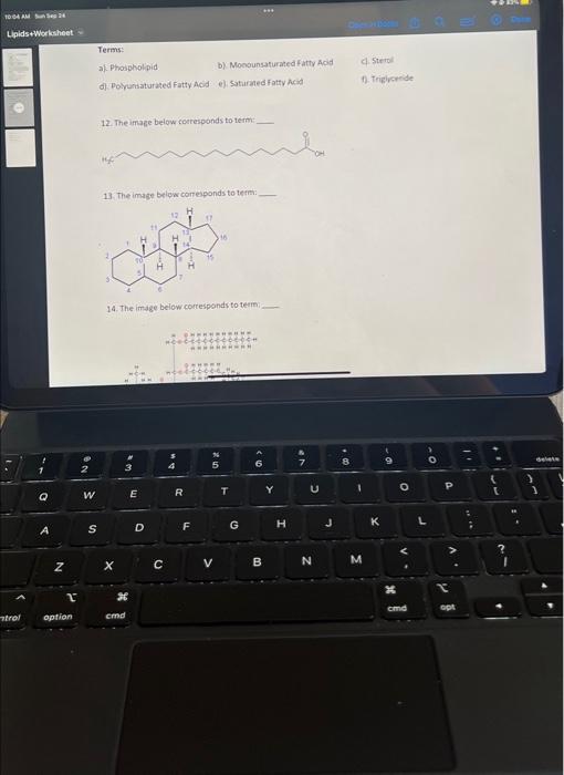 Solved 10:04 AM Sun Sep 24 Lipids+Worksheet ntrol Q A Z I | Chegg.com