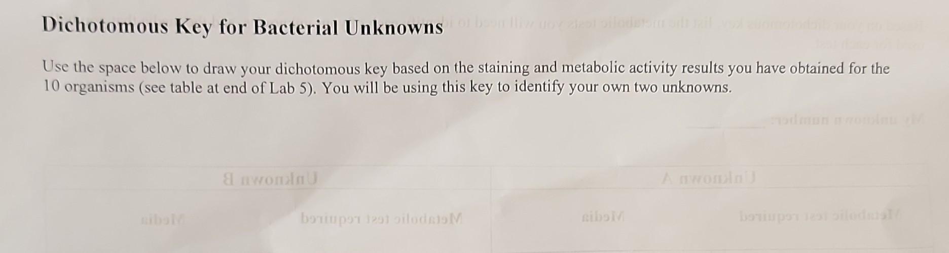 Dichotomous Key for Bacterial Unknowns Use the | Chegg.com